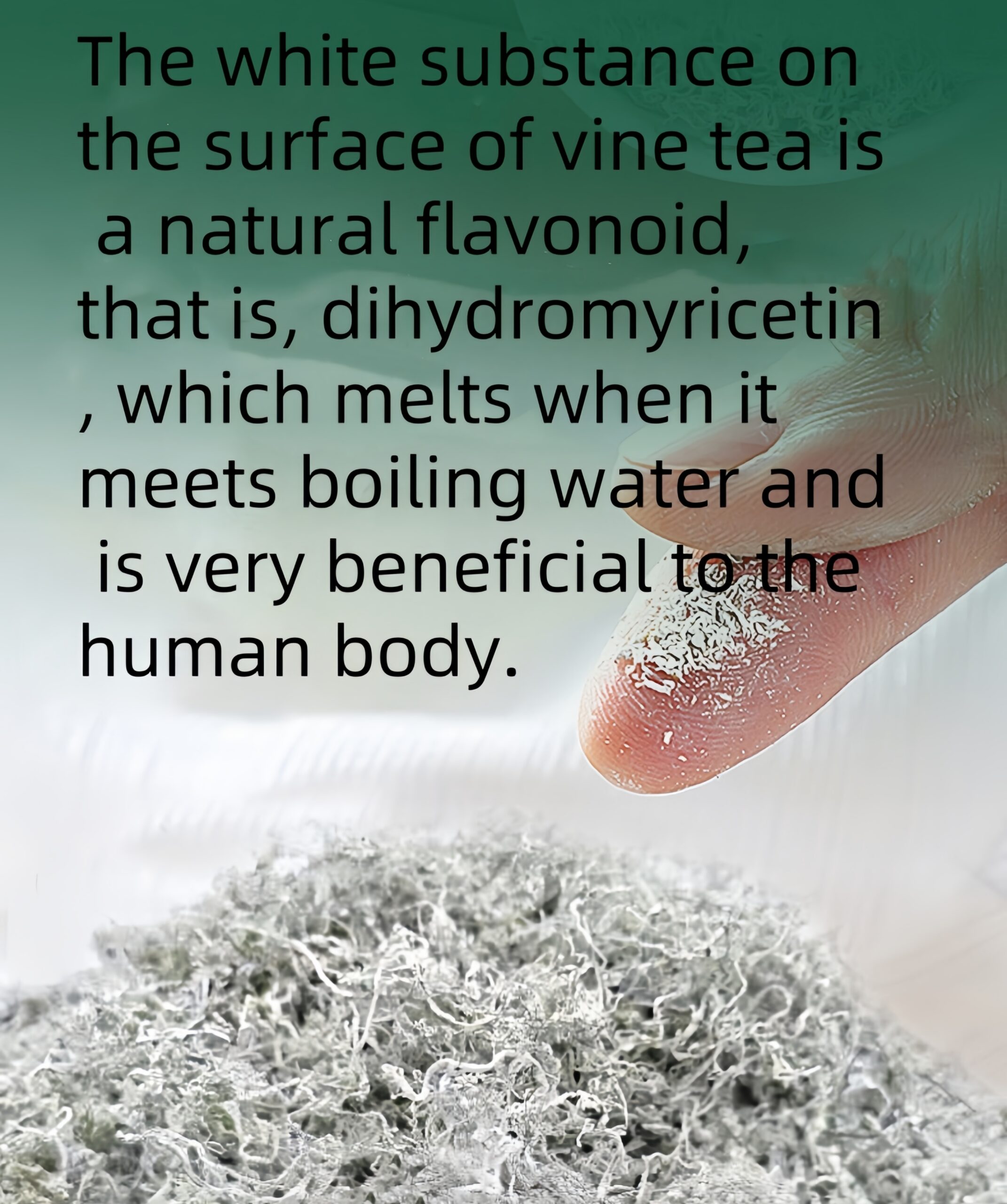 Vine （Tender leaf）tea – vineteago.com